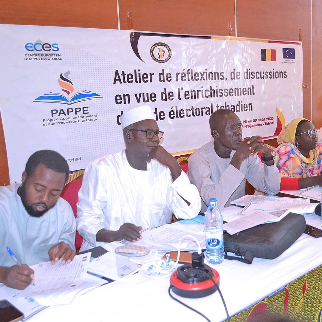 Atelier de renforcement des capacités | Appui Démocratie - Tchad